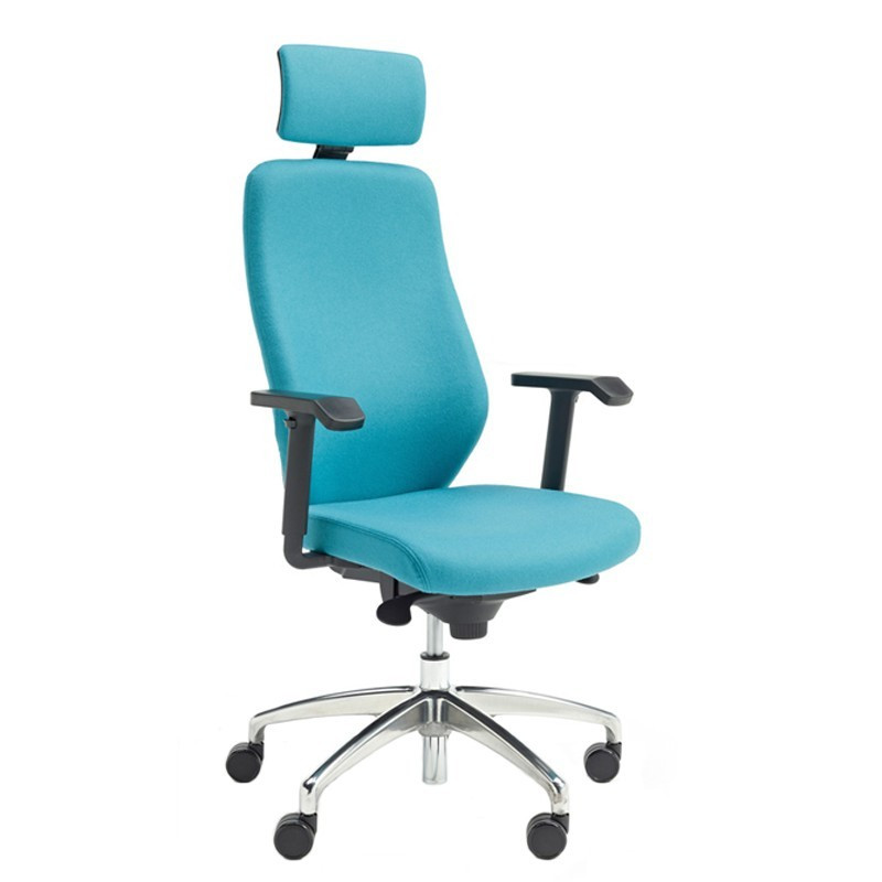 D9 Perpetual Chair - Ergonomic Support for Spine Alignment